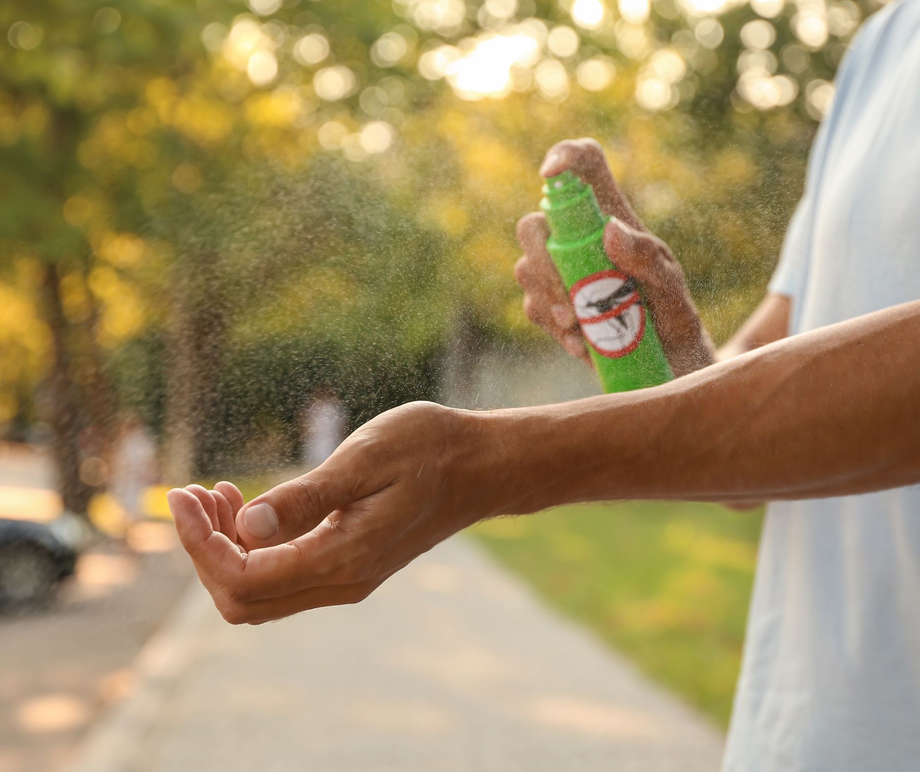 Repelentes contra insectos: aprende a identificarlos